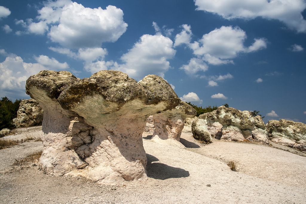 The Stone Mushrooms by Monika Georgieva / 500px