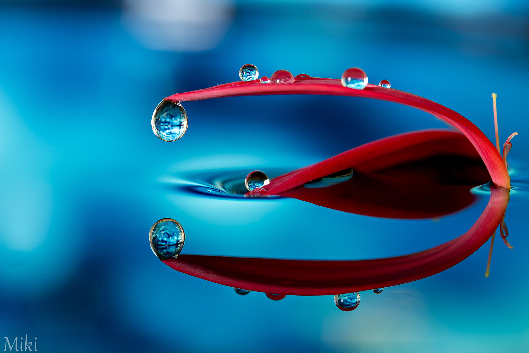 Abstract Red & Blue by Miki Asai / 500px