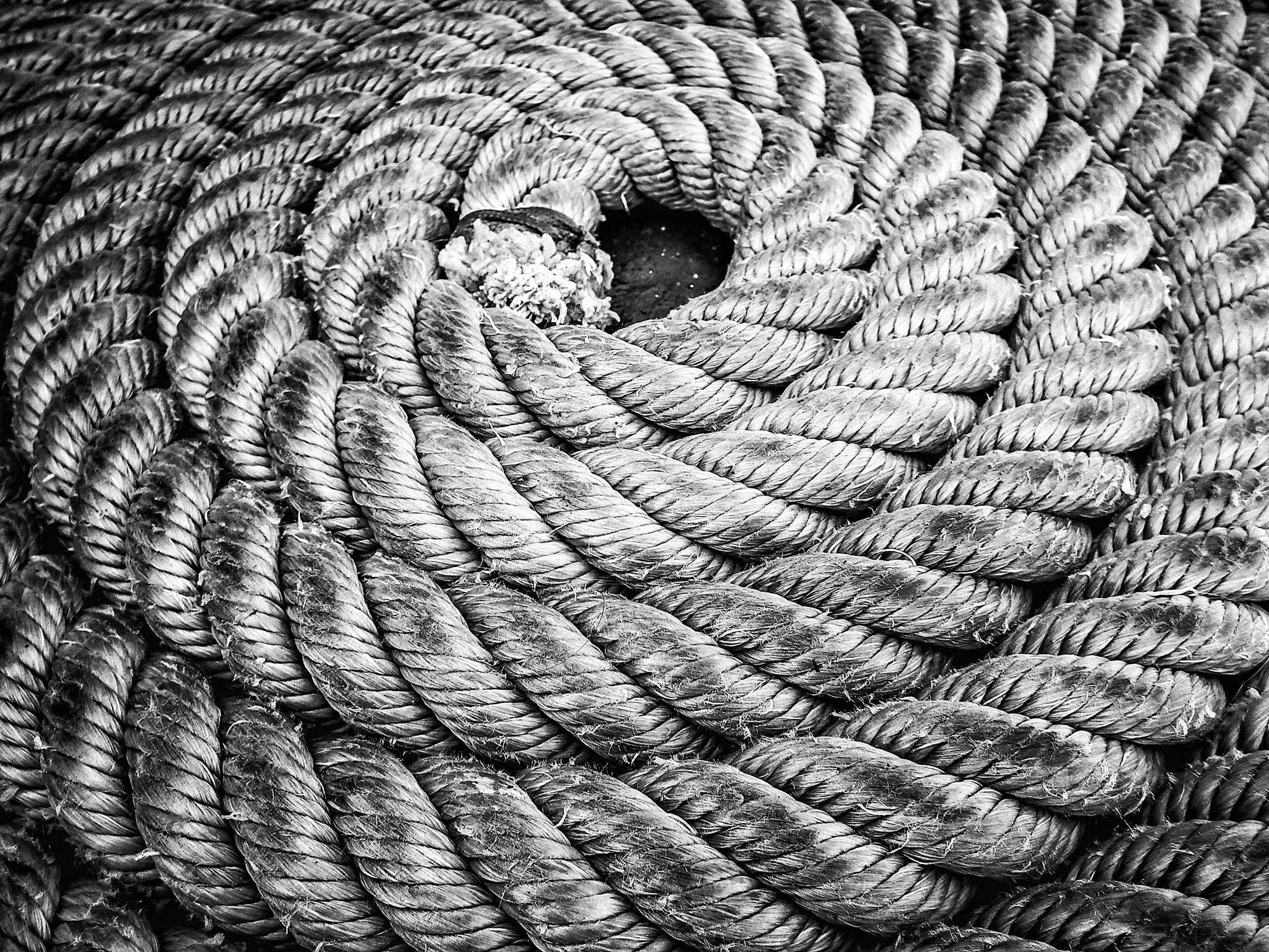 Rope by Garry Sugden | 500px