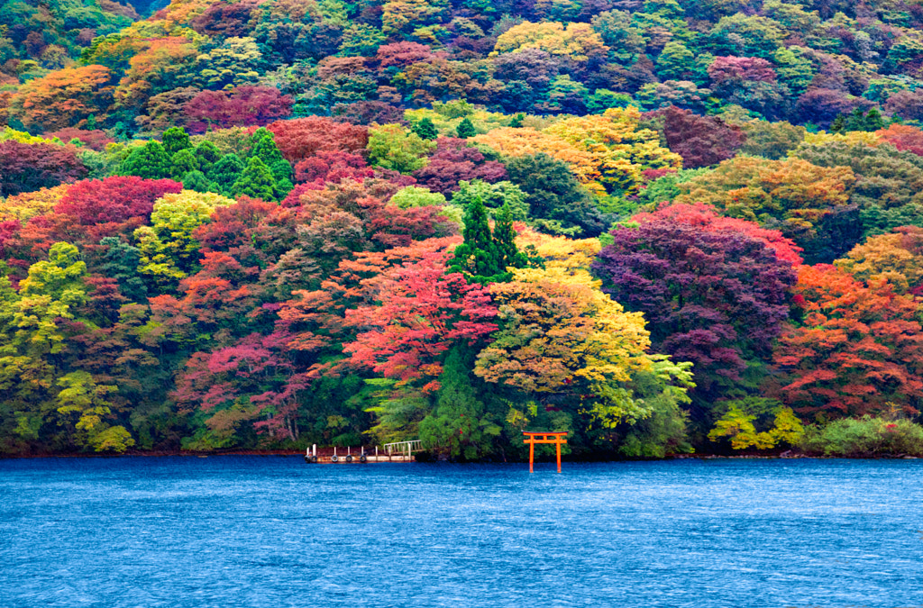Ashi Lake, Japan by Ricardo Bevilaqua / 500px