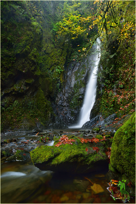 Goldstream Park by Ingrid Lamour / 500px