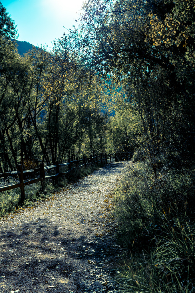 colored path by Cam White / 500px