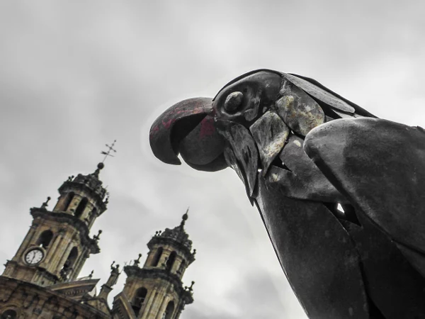 Loro Ravachol by Ser Marr | 500px