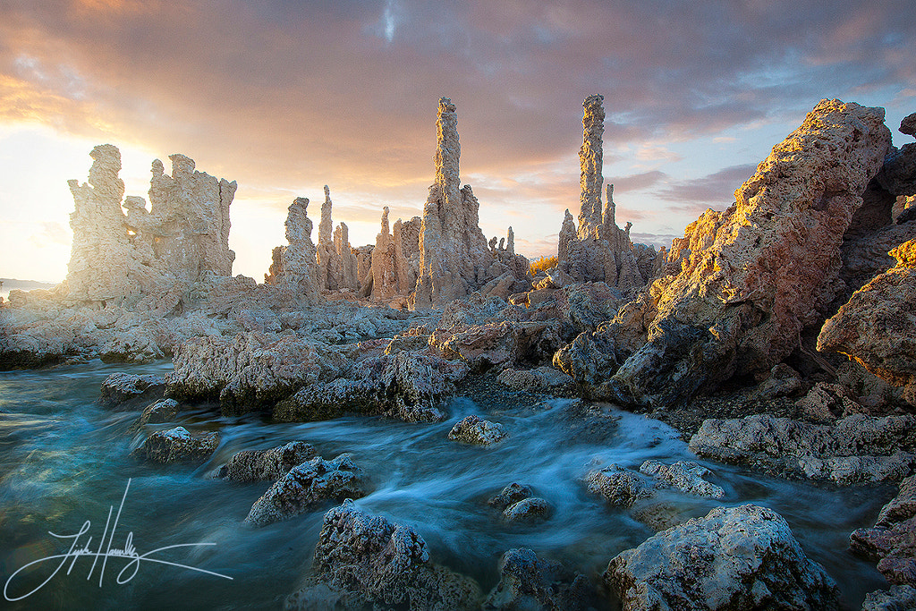 Revealed by Lijah Hanley / 500px