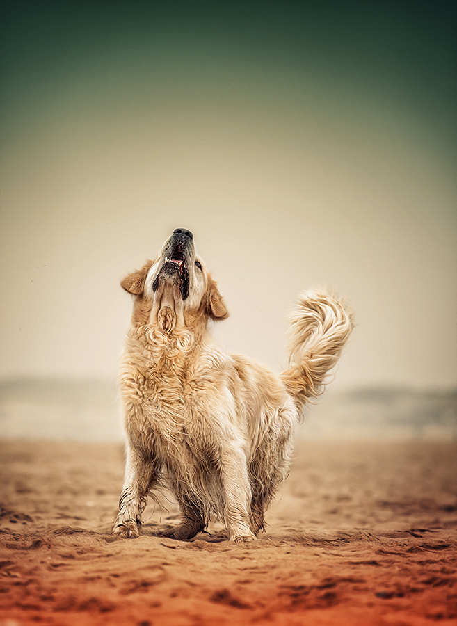 what is in the air by Danny Block / 500px