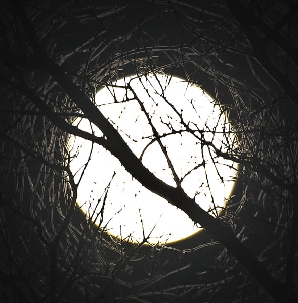 @Matsuda by Hitoshi NAKAMURA | 500px