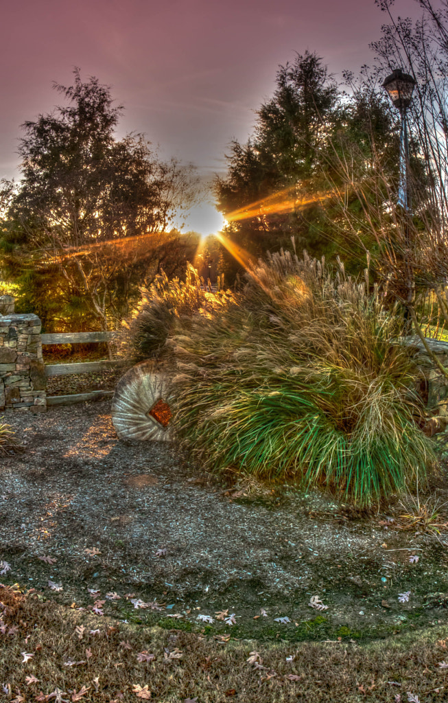 Jeff Pettitt (JeffPettitt) Photos / 500px