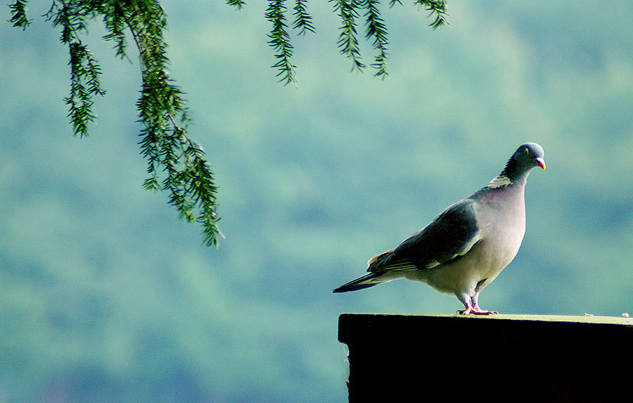 Can you repeat your question? by Alex Grama / 500px