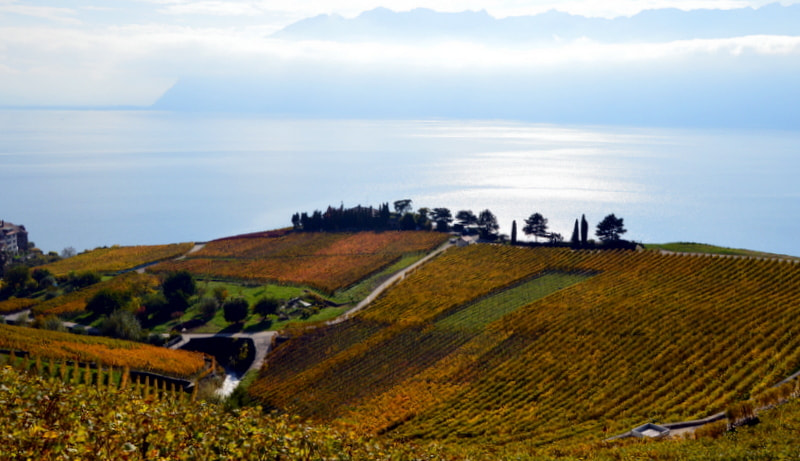 Le Lavaux by Maria José Perras Barnada / 500px