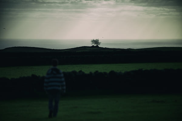 Tree by Rui Caria | 500px
