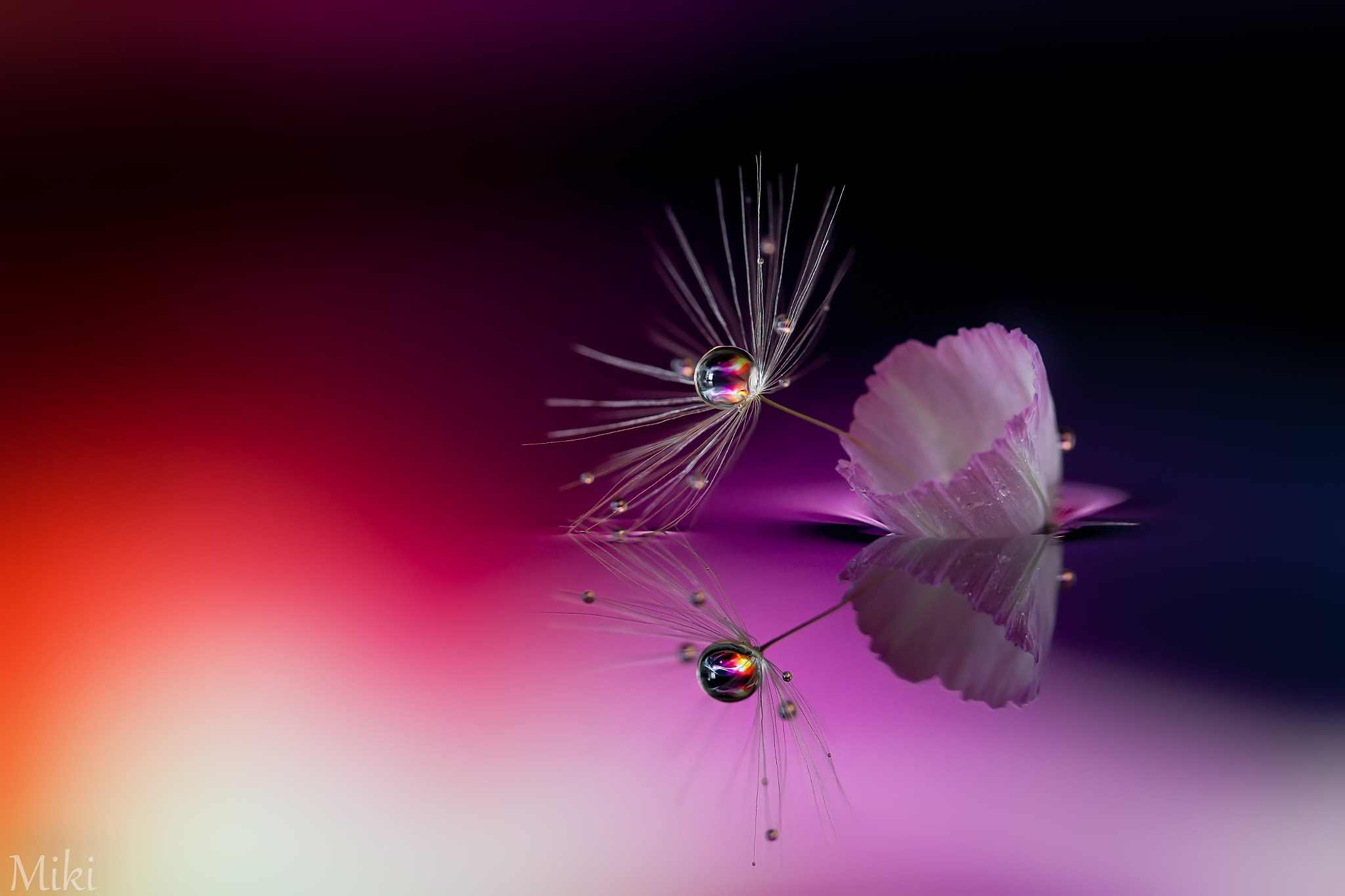 Light in the dark by Miki Asai / 500px