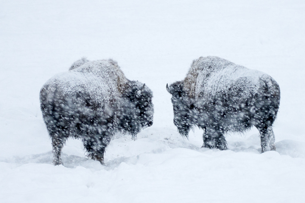 Can you see where to go? by David Yack / 500px