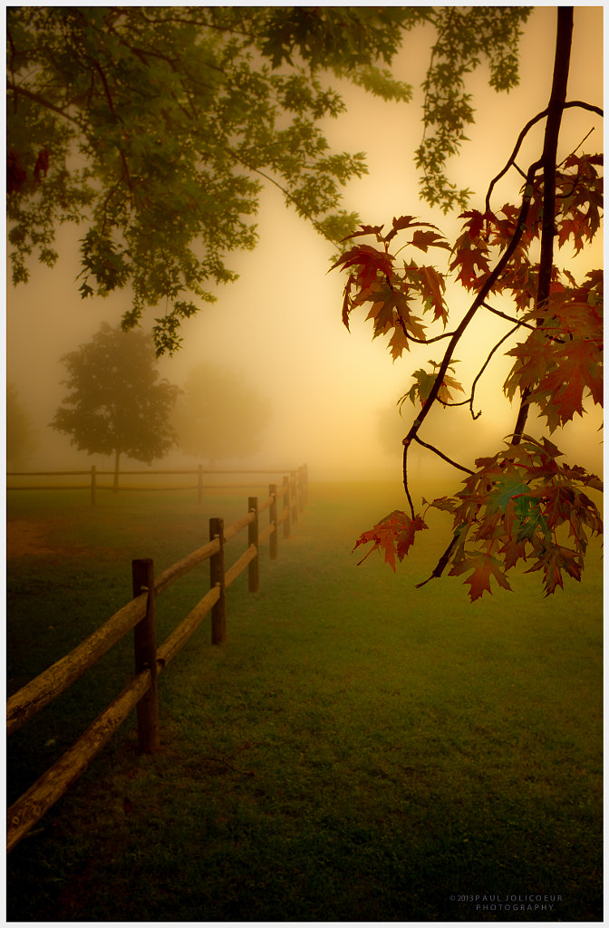 Morning at the Park by Paul Jolicoeur / 500px