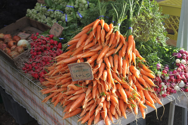 Carrot Pyramid by Jason Price | 500px