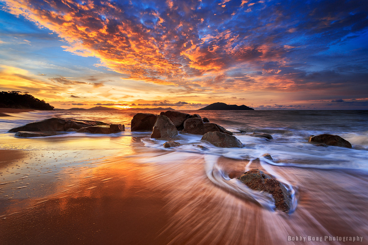 New Beginning by Bobby Bong / 500px