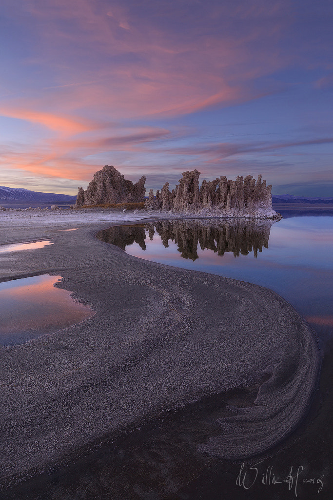 Leading the Way by Willie Huang / 500px