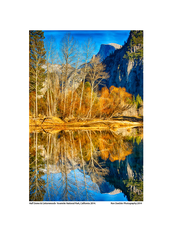 Half Dome and Cottonwoods with Reflection by Ron Doebler | 500px