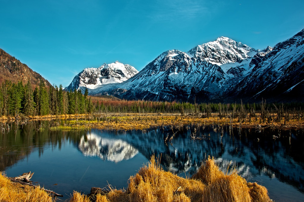 Spring Time In Alaska by Buck Shreck - Photo 5838334 / 500px