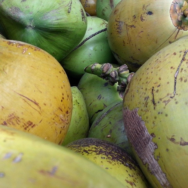 Fresh buko. Great for your training. Best electrolyte replacer on the ...