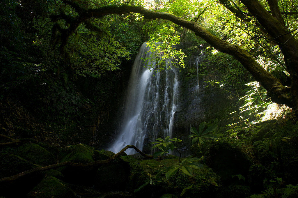 Magic light by Jan Niklas Burgkart / 500px