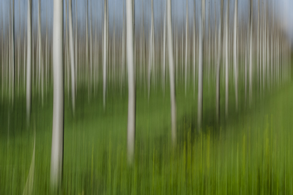 Abstract by Vinnie DeSanto | 500px