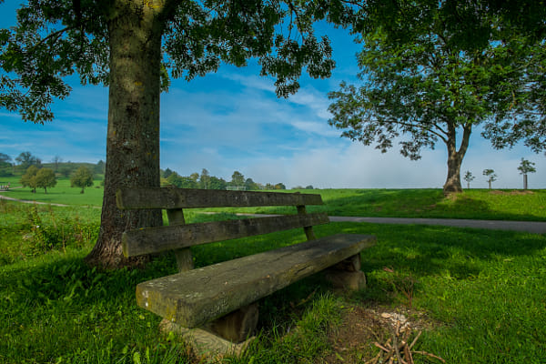 Take a seat by Daniel Stocker / 500px