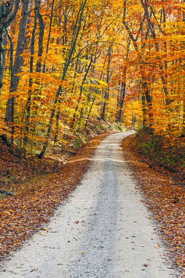 Country Road and Fall Colors by Kenneth Keifer / 500px