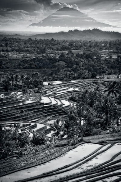 Bali Terraces by Richard Choong | 500px