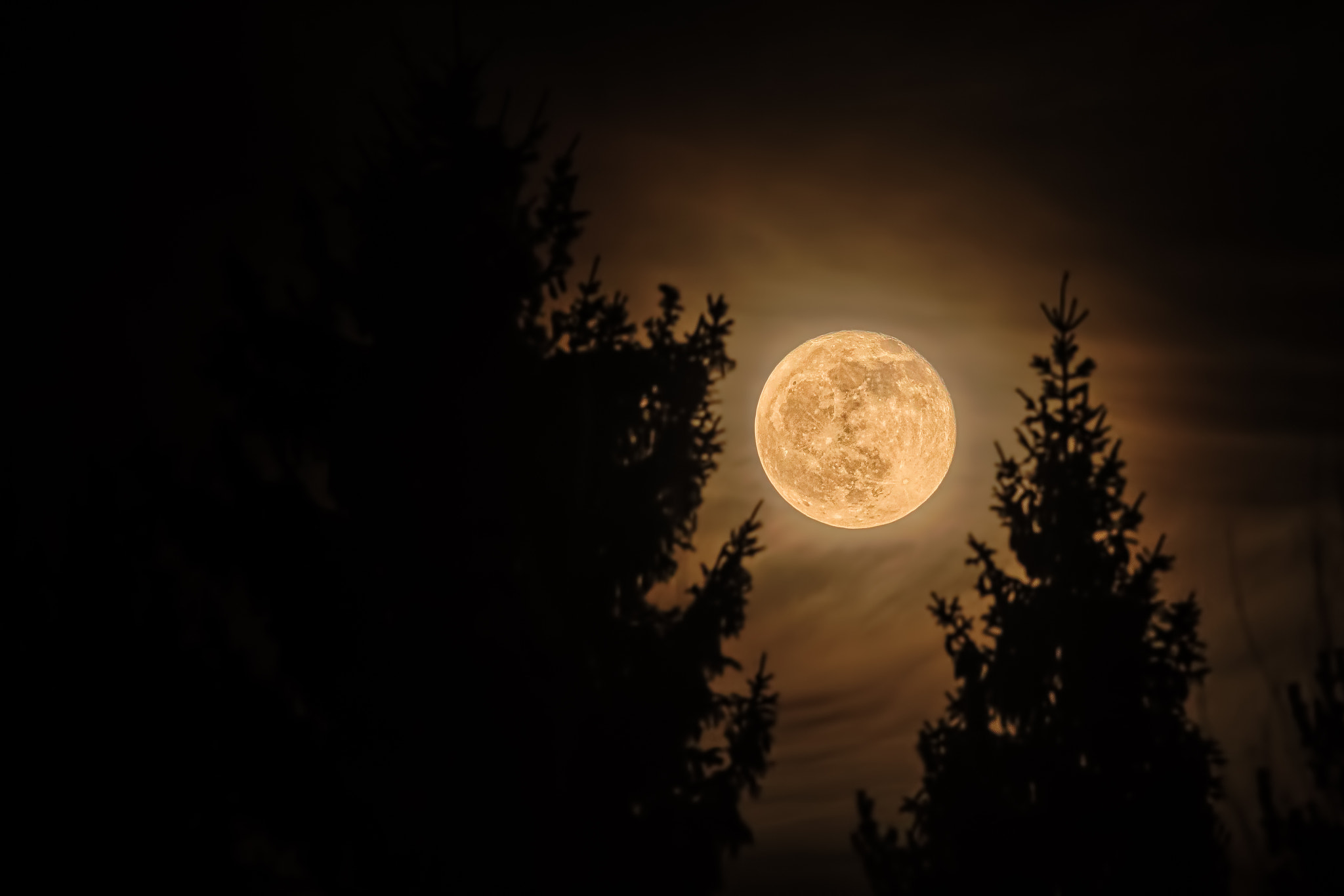 The Moon in the woods by Lauri Jeskanen - Photo 64297309 / 500px