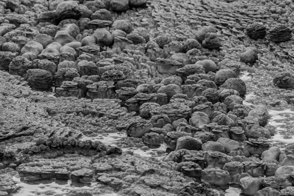 Yellowstone Calcium Deposits by Christopher Petro / 500px