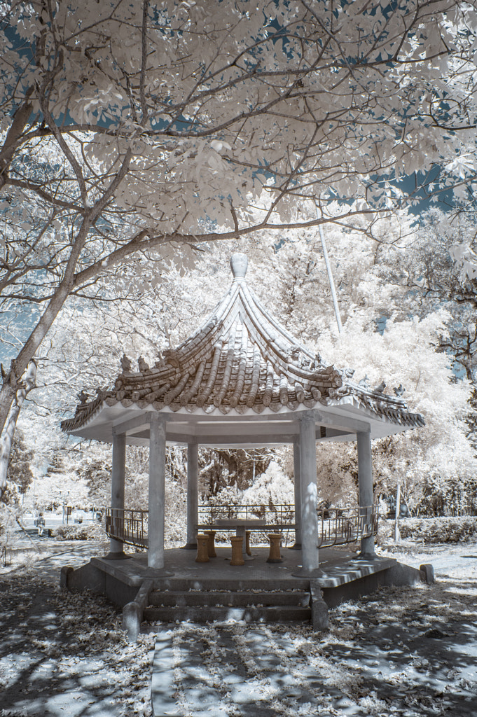 Have a relaxation day by James Liu / 500px