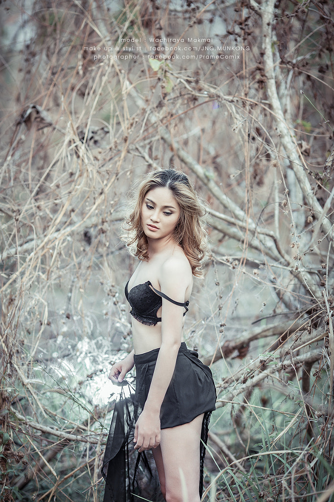 - Branch - by PrameComix PloyStudio / 500px