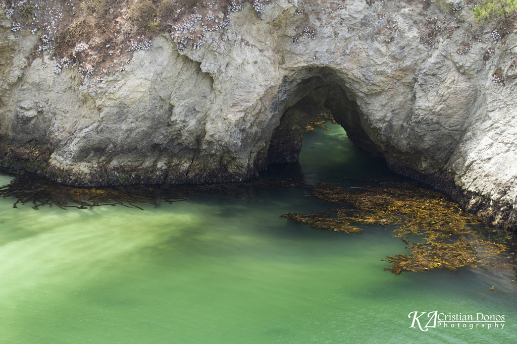 China Cove Point Lobos by Cristian Donos / 500px