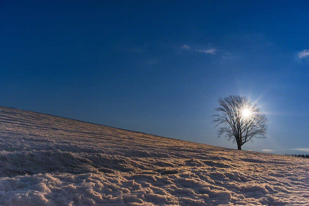 The Sun Melts Snow by Kent Shiraishi / 500px