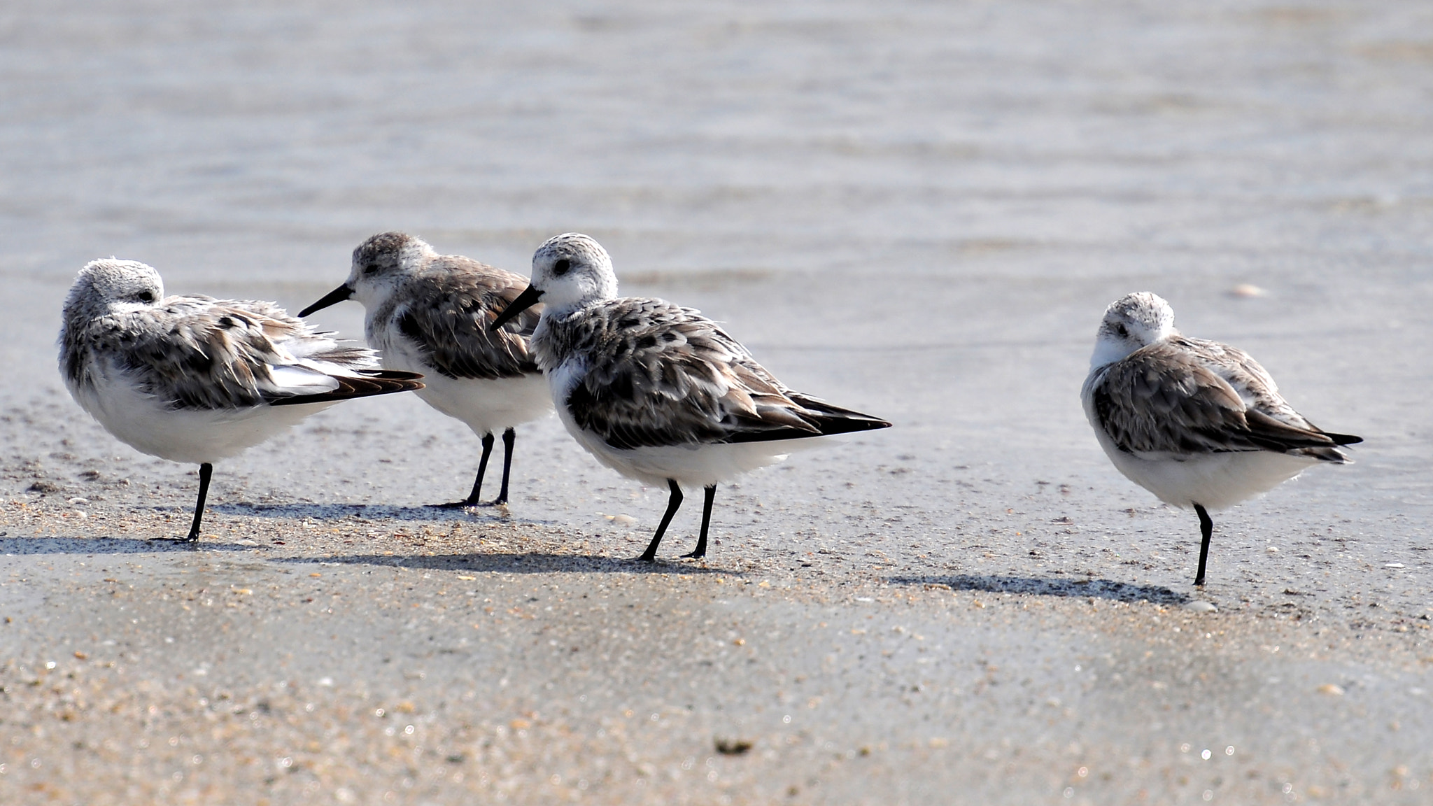 One leg or two by John Forsmark / 500px