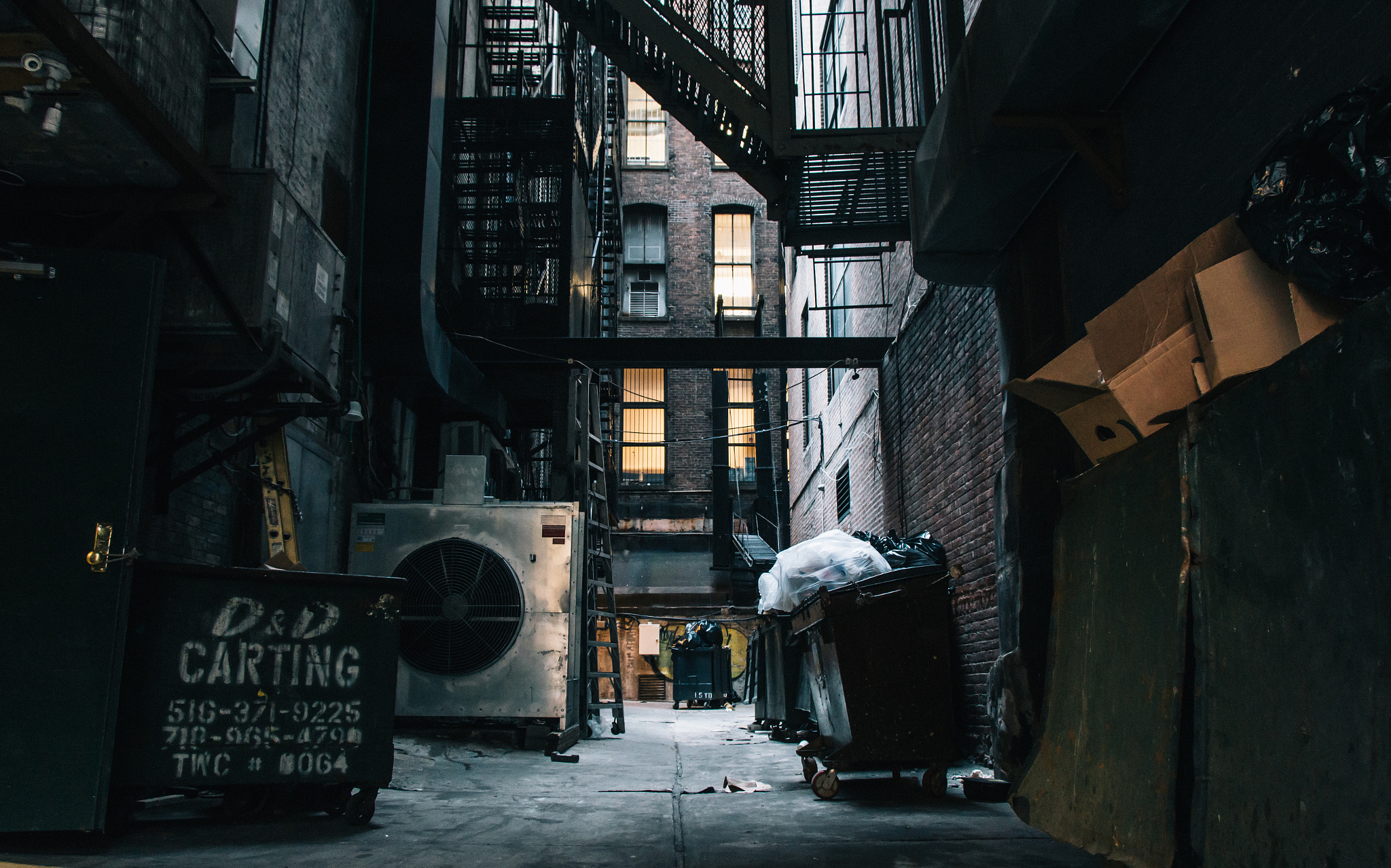 A Real New York Alley by Richard Cline - Photo 66634289 / 500px