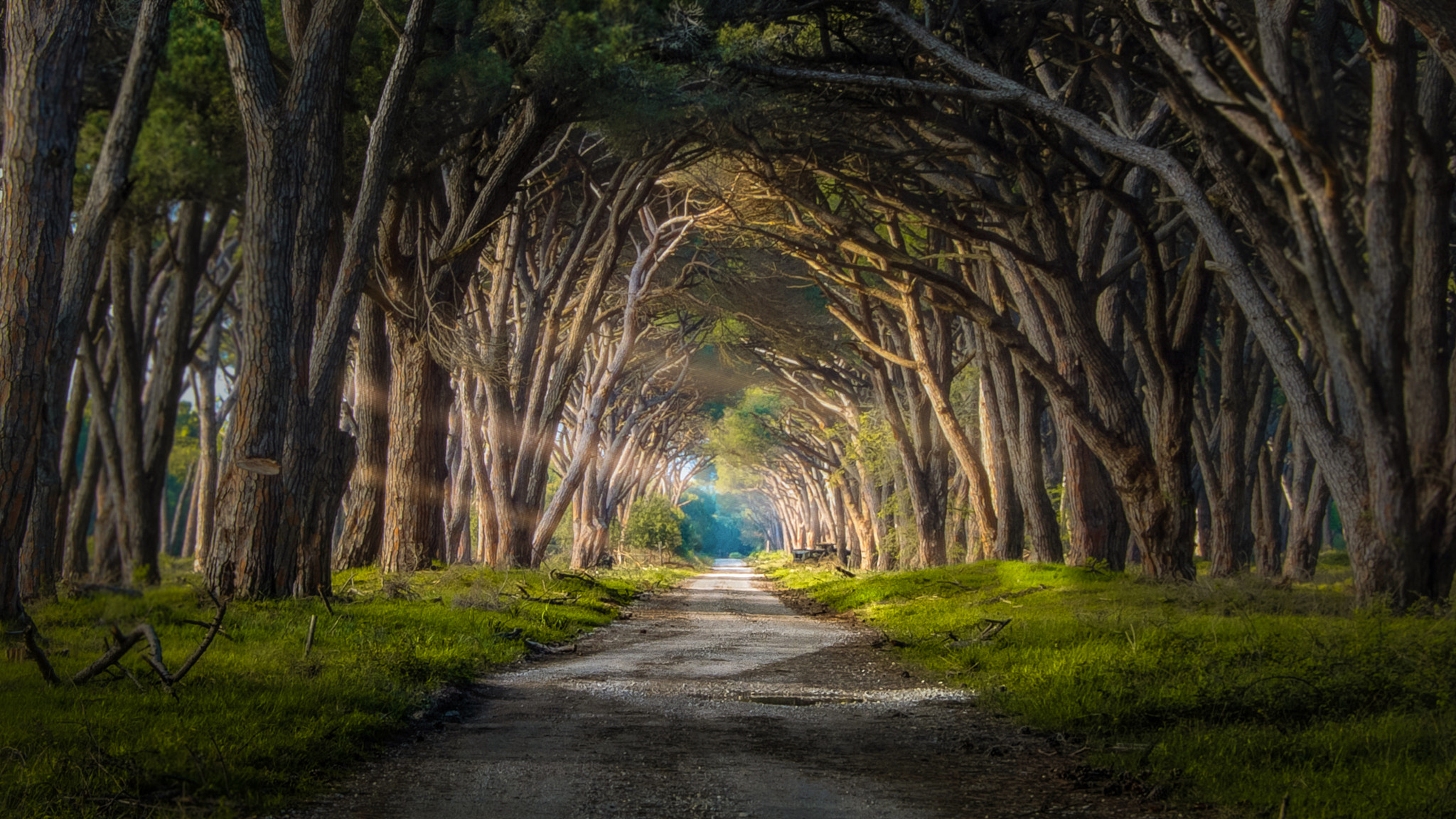 Hobbit Forest by Andrea Iorio / 500px