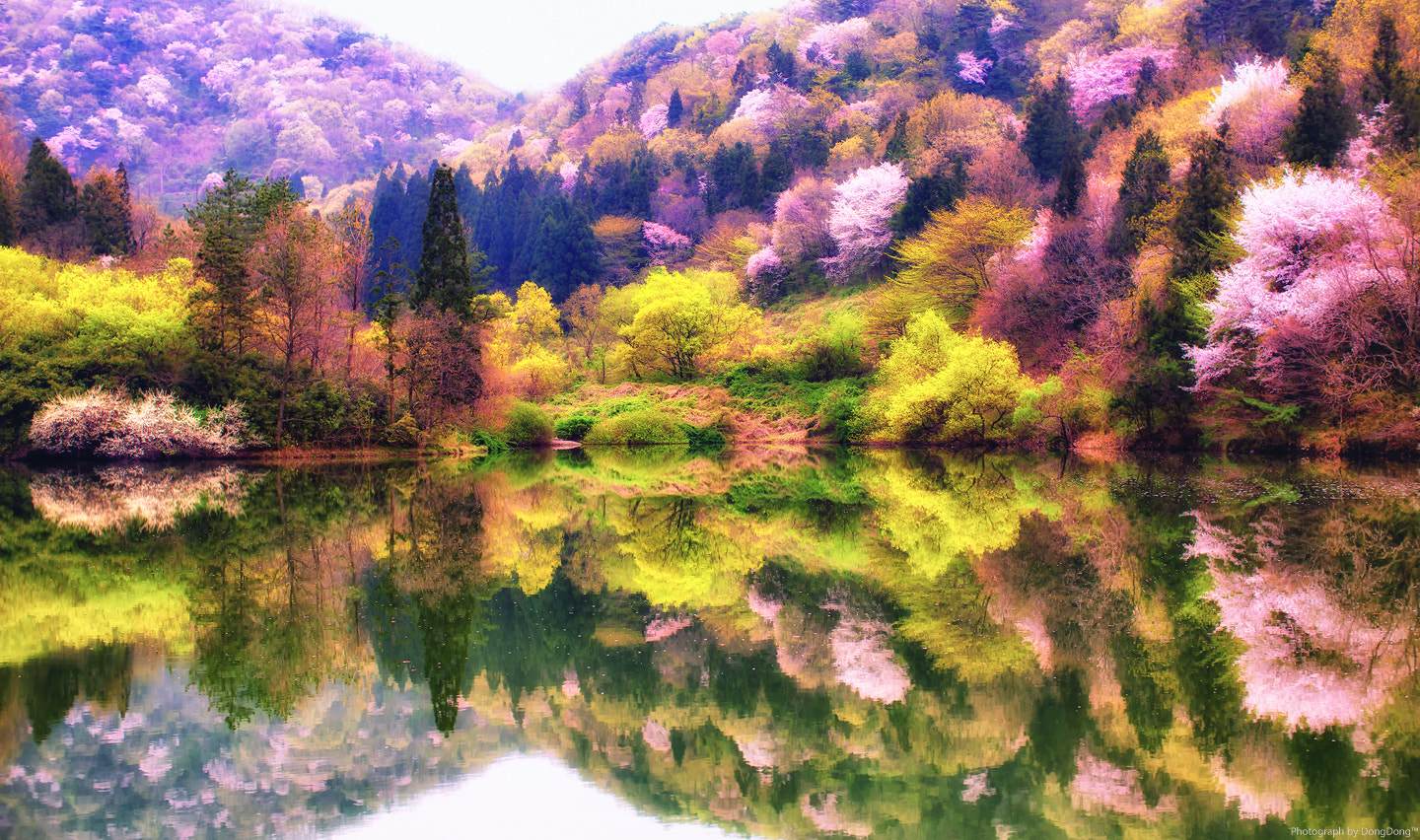 Spring Reflection by SEO / 500px