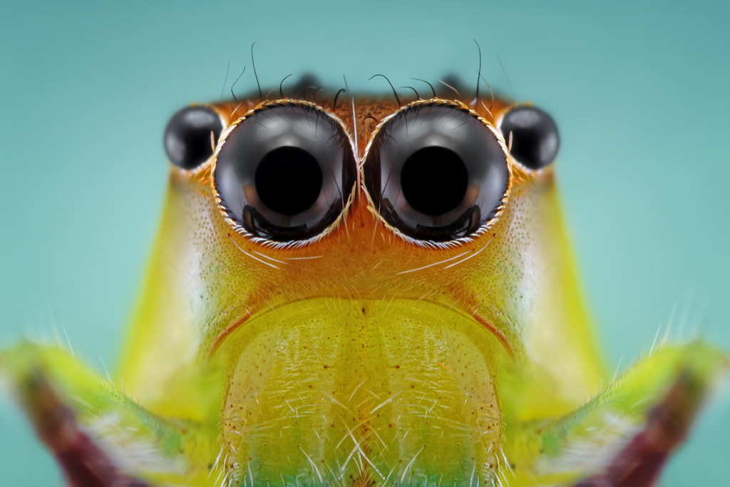 oOOo by Donald Jusa / 500px