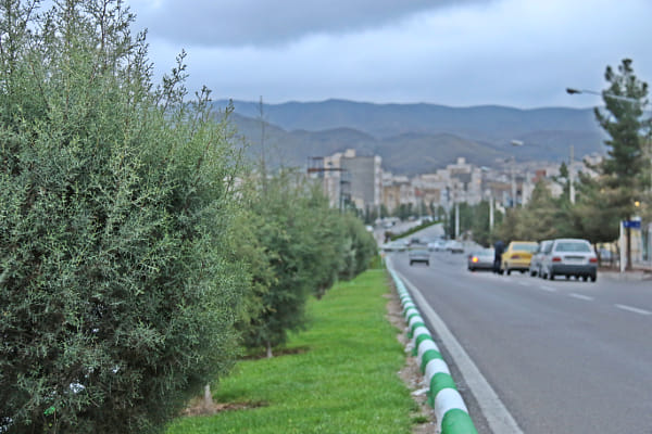 Street scene in Mashhad Iran by Vahid Gan | 500px