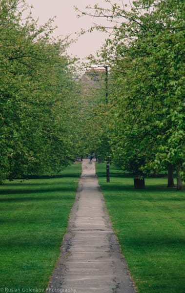 Bird-Cherry trees alley by Ruslan Golenkov | 500px