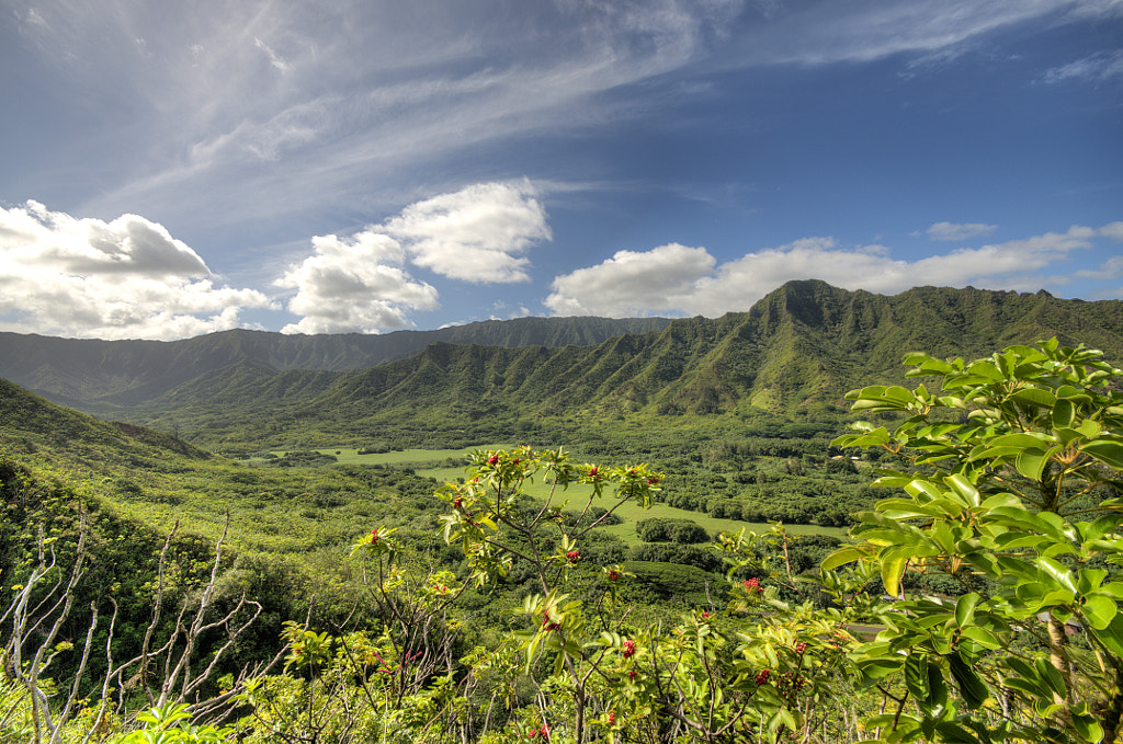 The Kahana Valley by Kyle Jenkins / 500px