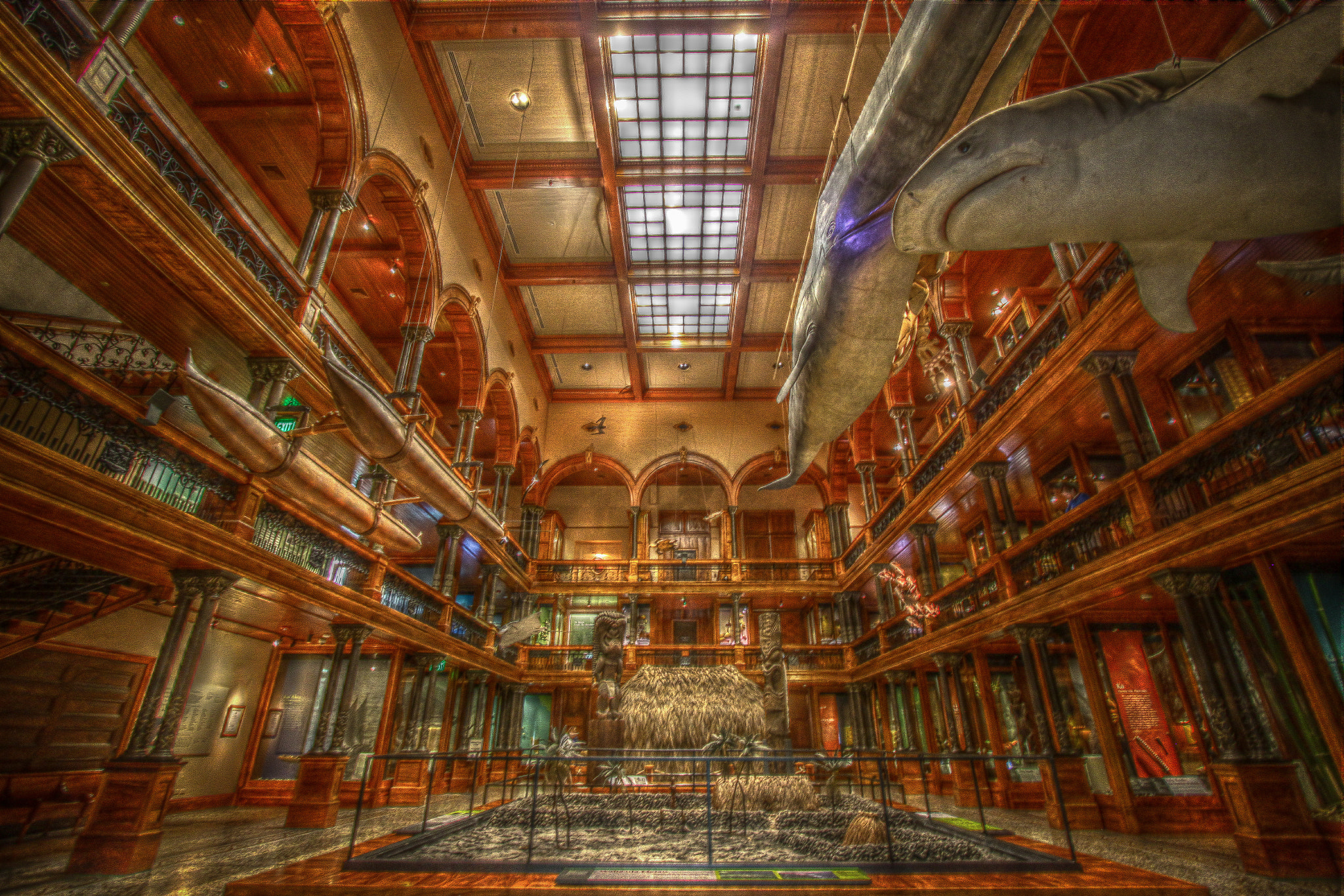 Inside Bishop Museum by Panot K | 500px