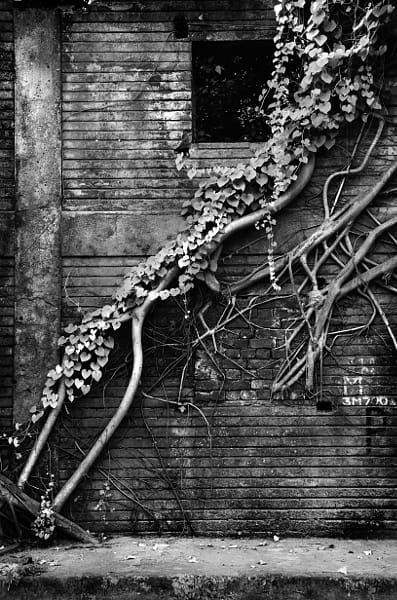 Reflection by Gabriela Ciobanu | 500px