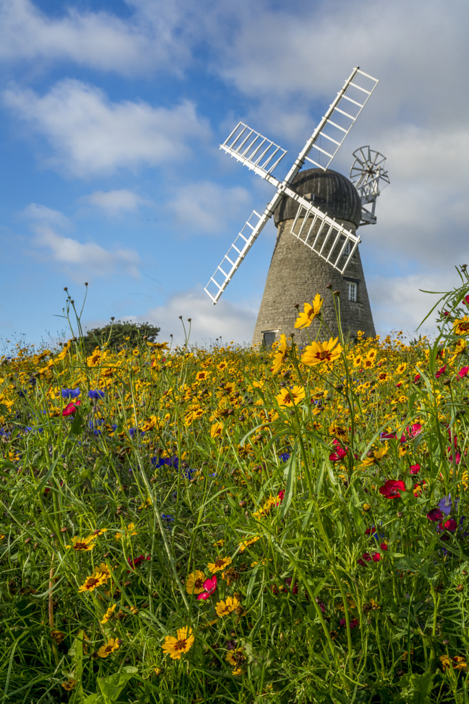 Holding Onto Summer by Keith Johnson / 500px