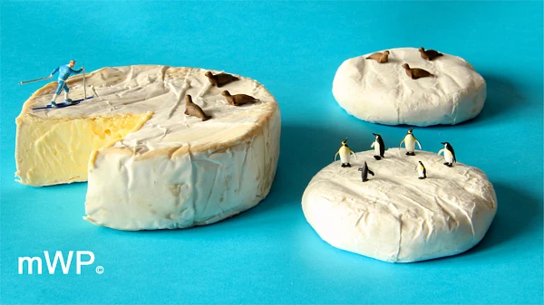Cheese Iceberg by mWP miniWorldProject | 500px