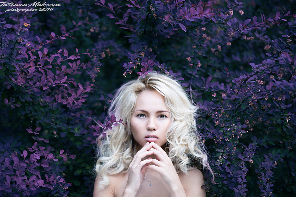 Lilac dreams by Tatiana Makeeva / 500px Lilac dreams by Tatiana Makeeva / 500px