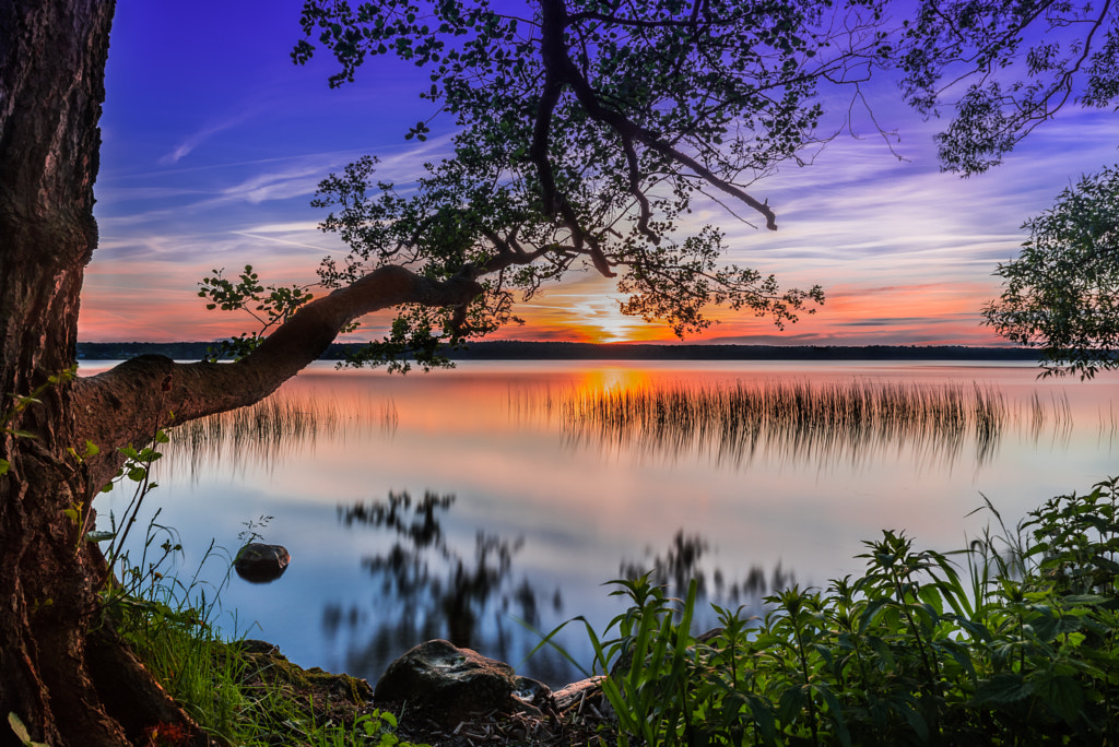 Finally Summer ND by Frank Jensen / 500px