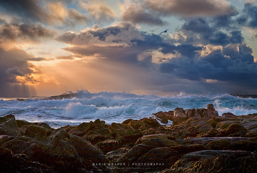 Carmel, California by Maria Draper / 500px