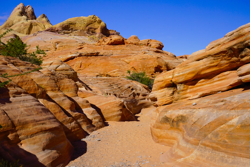 Washed With Color by Ryan Henke / 500px